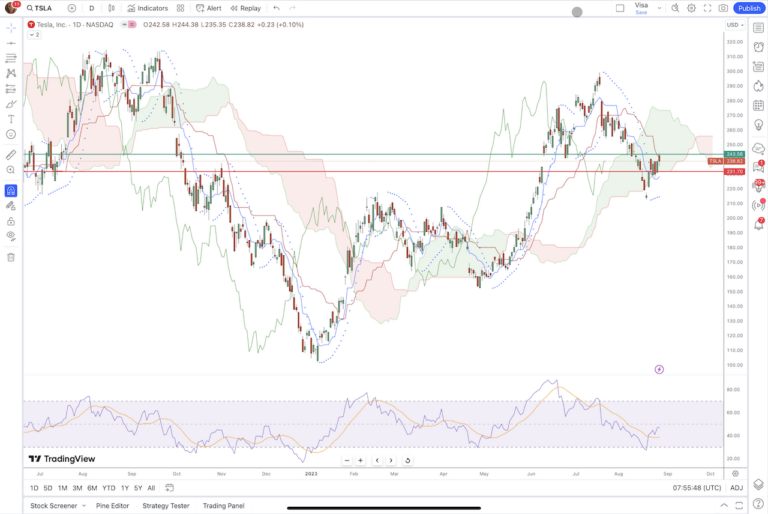 Tesla gagne 120 % depuis le début de l’année. Que faire